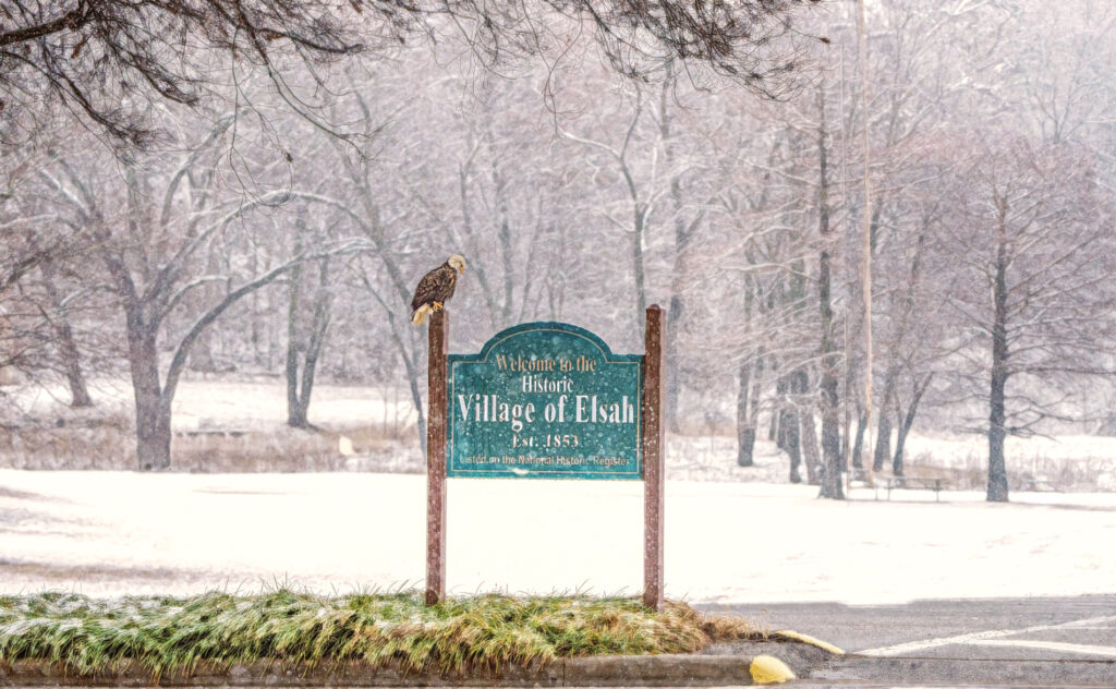 Historic Elsah Foundation – Preserving and Enhancing the Village of Elsah